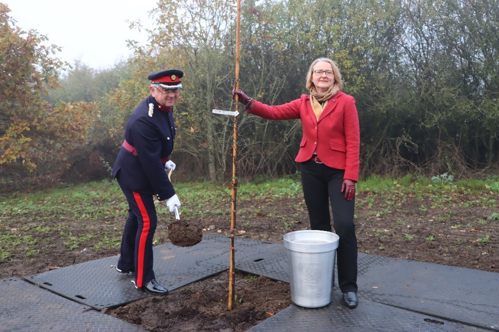 National Memorial Arboretum gifted special Queen’s Green Canopy ‘Tree ...