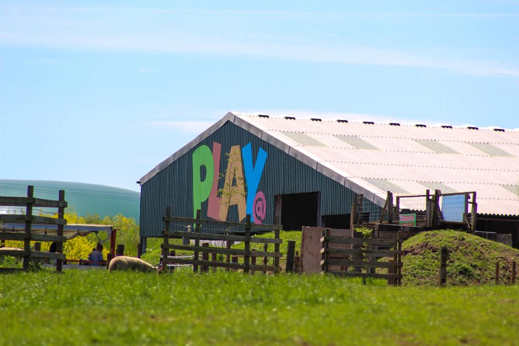 Farm to celebrate beauty of nature with new Tulip Festival - We Are Staffordshire