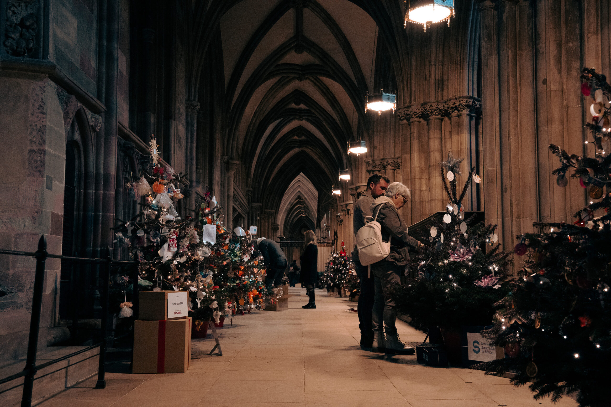 Cathedral Sparkles with Trees and Wreaths This Christmas! - We Are ...